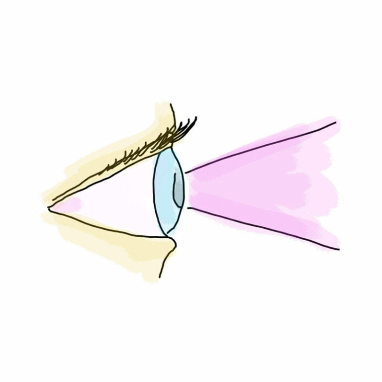 The Beginner’s Guide To PPC